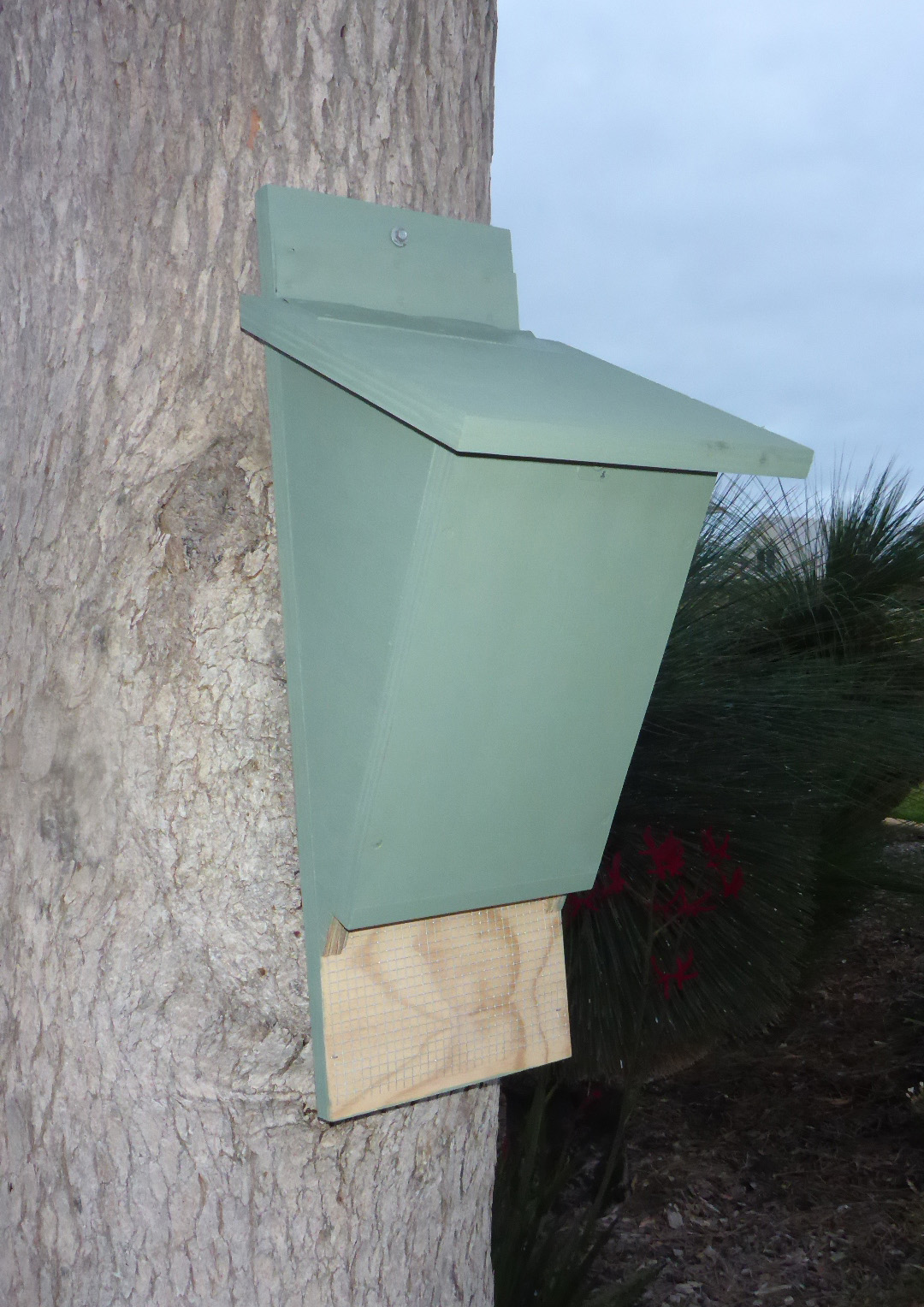 A home for Microbats - City of Melville