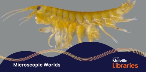 What's On - City of Melville