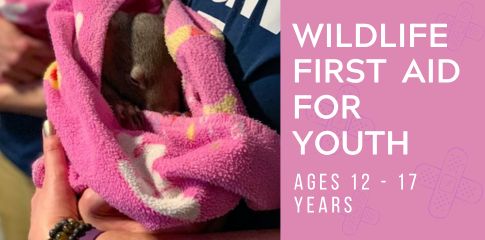 City of Melville EcoHub - City of Melville