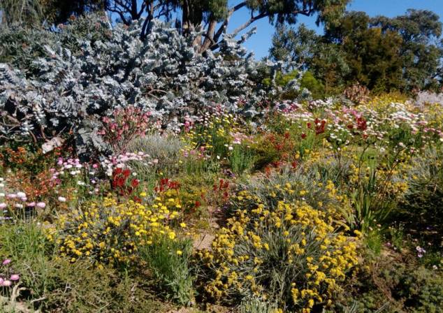 ReWild Perth - City of Melville